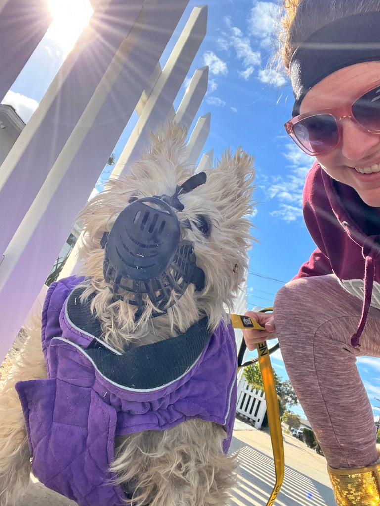 Today’s Borking Report…. – Rhys Ford