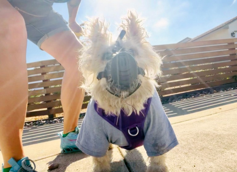 Today’s Borking Report (And DRAMATIC Photo) – Rhys Ford